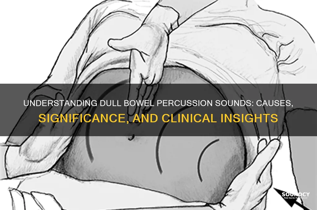 Understanding Dull Bowel Percussion Sounds: Causes, Significance, And ...