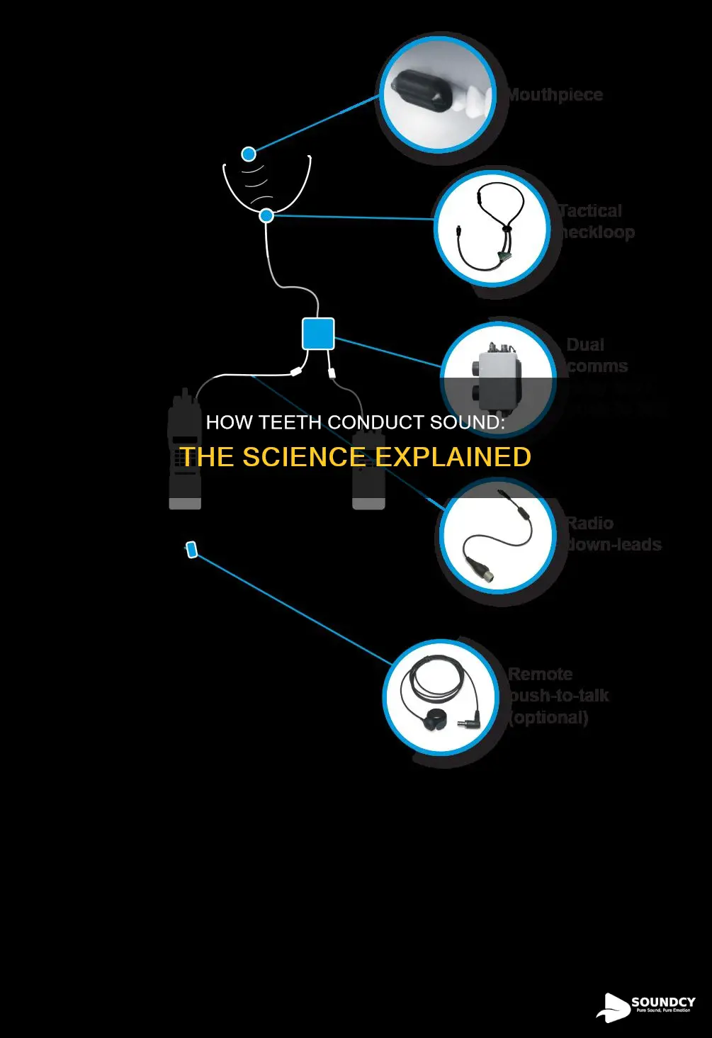 How Teeth Conduct Sound: The Science Explained | SoundCy
