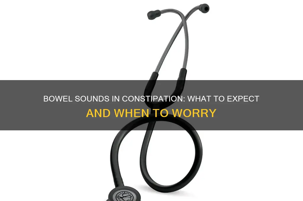 Bowel Sounds In Constipation: What To Expect And When To Worry | SoundCy