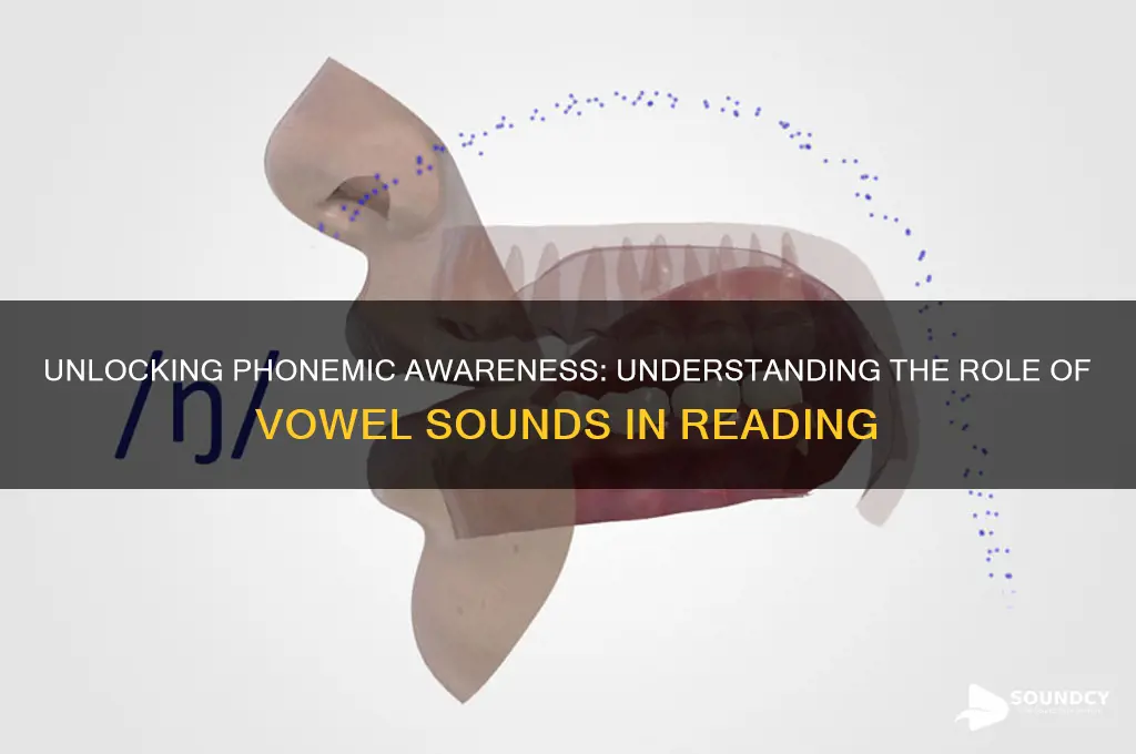 Unlocking Phonemic Awareness: Understanding The Role Of Vowel Sounds In ...