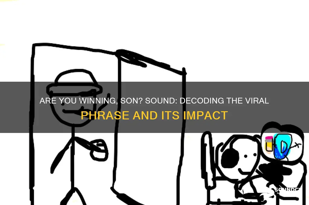 Are You Winning, Son? Sound: Decoding The Viral Phrase And Its Impact ...