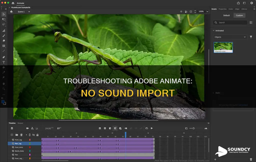 Troubleshooting Adobe Animate: No Sound Import | SoundCy