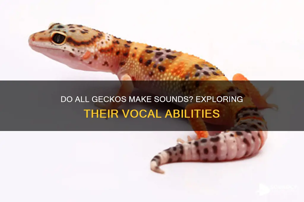 Do All Geckos Make Sounds? Exploring Their Vocal Abilities | SoundCy