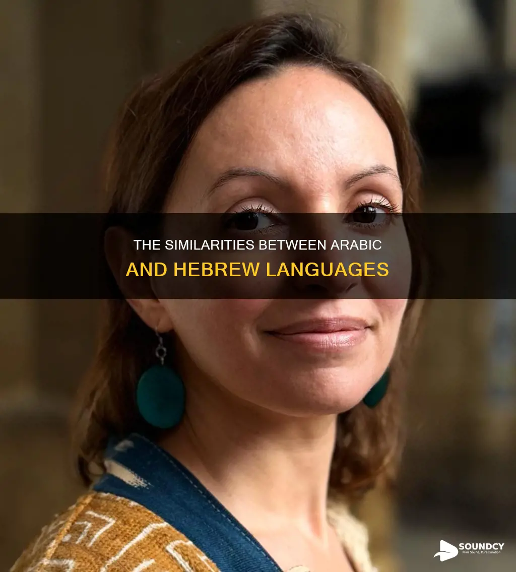 The Similarities Between Arabic And Hebrew Languages | SoundCy