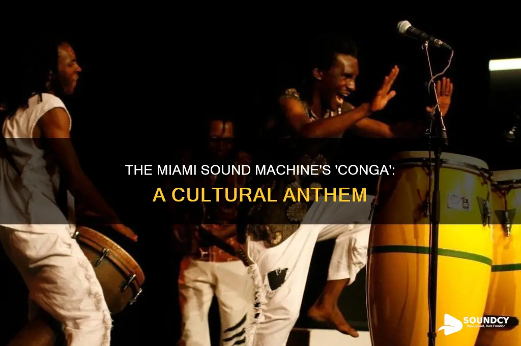 The Miami Sound Machine's 'Conga': A Cultural Anthem | SoundCy