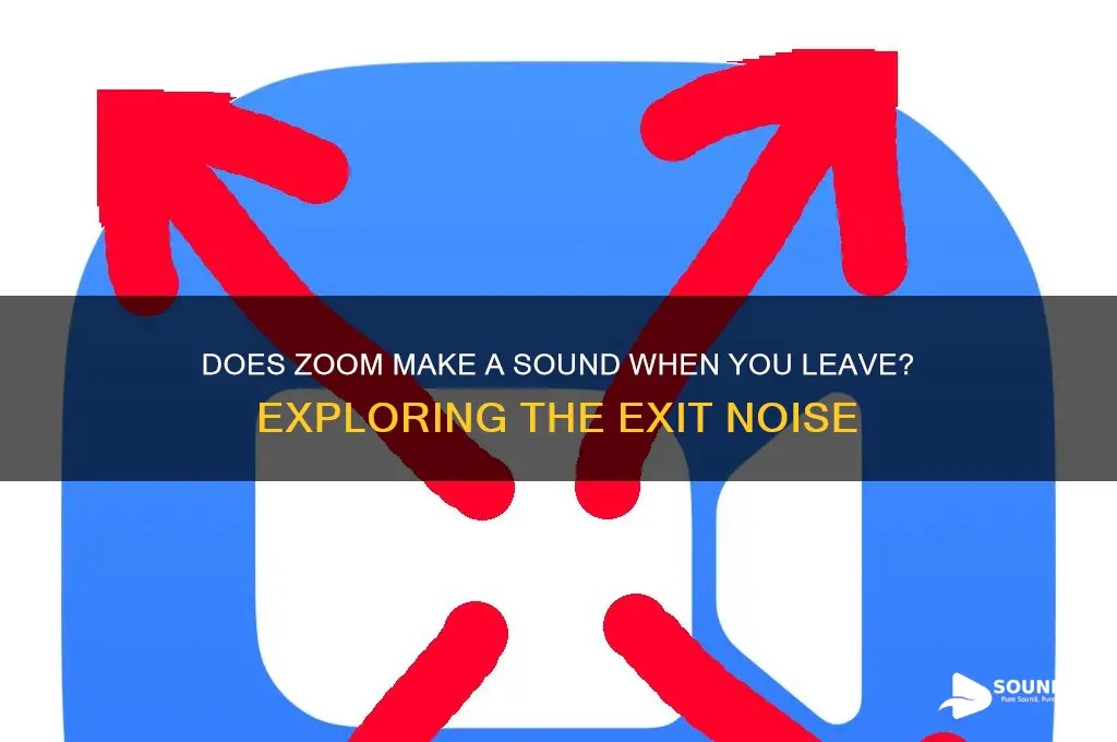 Does Zoom Make A Sound When You Leave? Exploring The Exit Noise | SoundCy