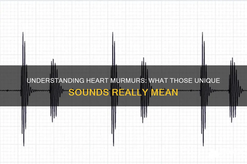 Understanding Heart Murmurs: What Those Unique Sounds Really Mean | SoundCy
