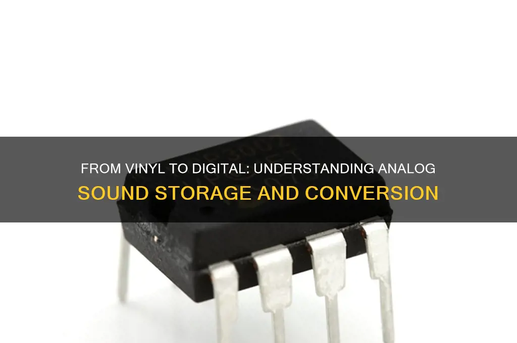 From Vinyl To Digital: Understanding Analog Sound Storage And ...