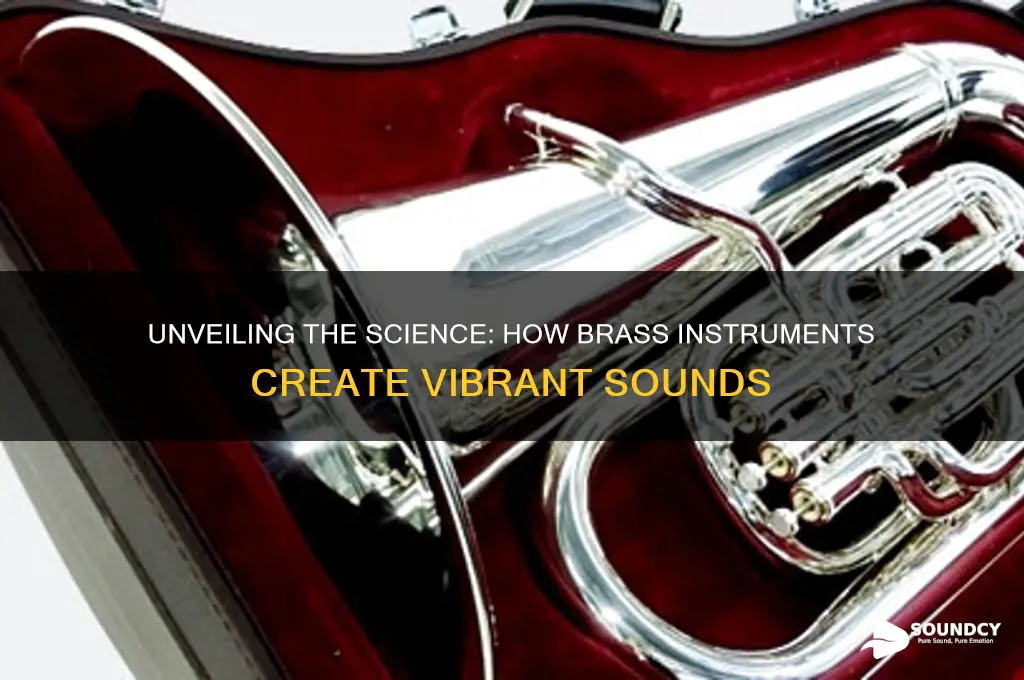 Unveiling The Science: How Brass Instruments Create Vibrant Sounds ...