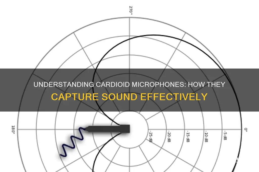 Understanding Cardioid Microphones: How They Capture Sound Effectively ...