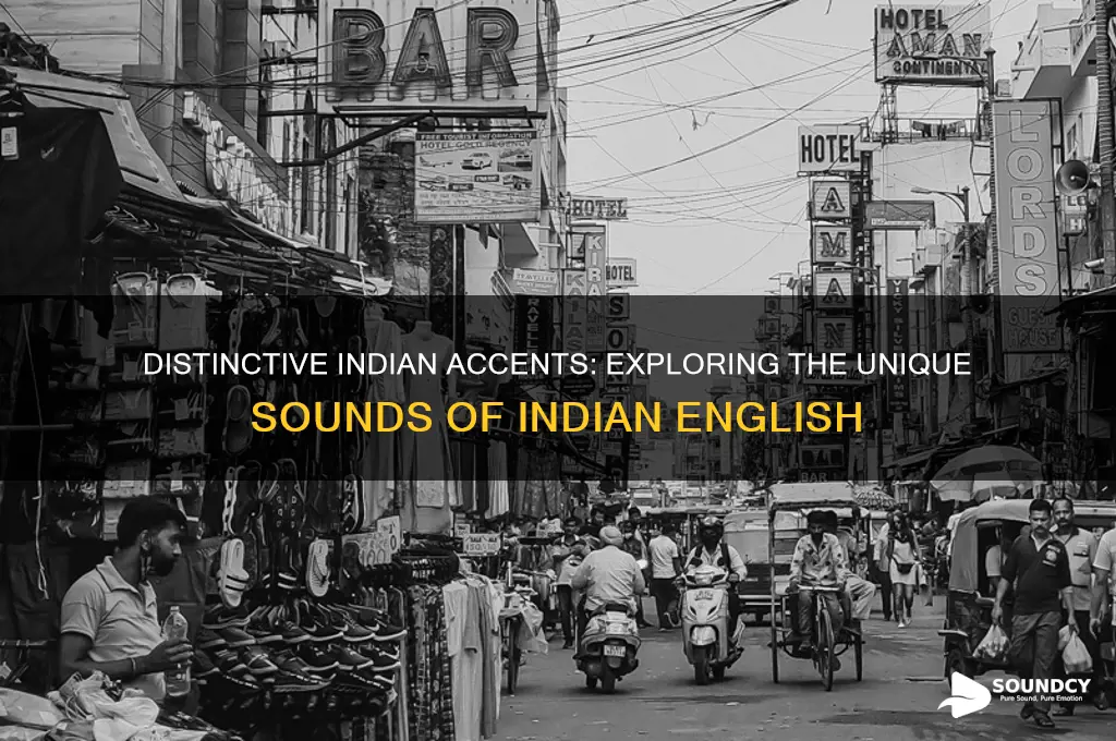 Distinctive Indian Accents: Exploring The Unique Sounds Of Indian ...