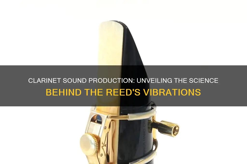 Clarinet Sound Production: Unveiling The Science Behind The Reed's ...