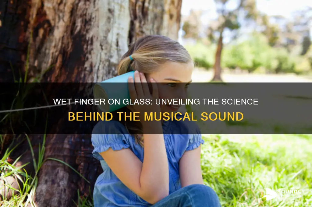 Wet Finger On Glass: Unveiling The Science Behind The Musical Sound ...