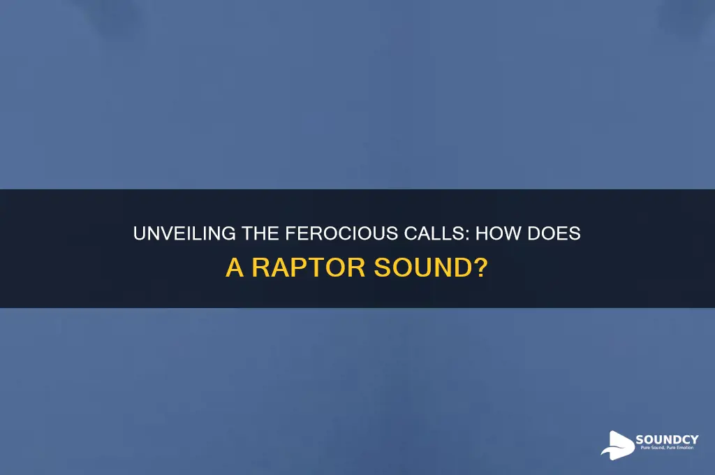 Unveiling The Ferocious Calls: How Does A Raptor Sound? | SoundCy