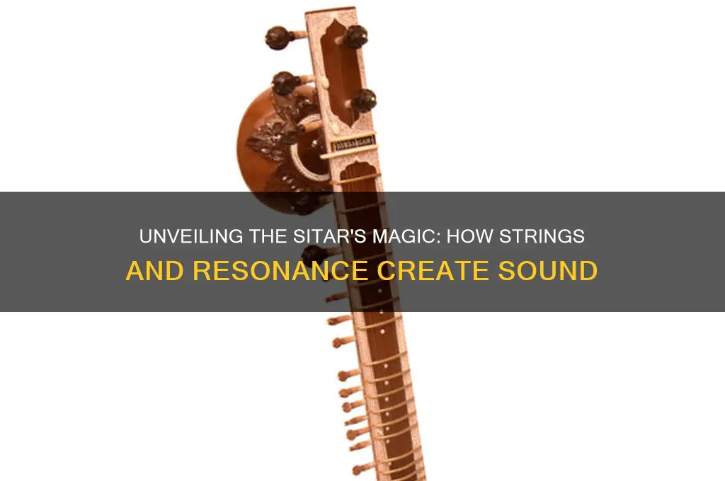 Unveiling The Sitar's Magic: How Strings And Resonance Create Sound ...