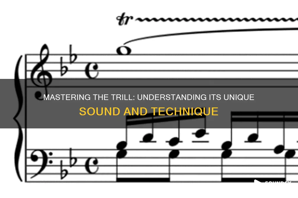 Mastering The Trill: Understanding Its Unique Sound And Technique | SoundCy