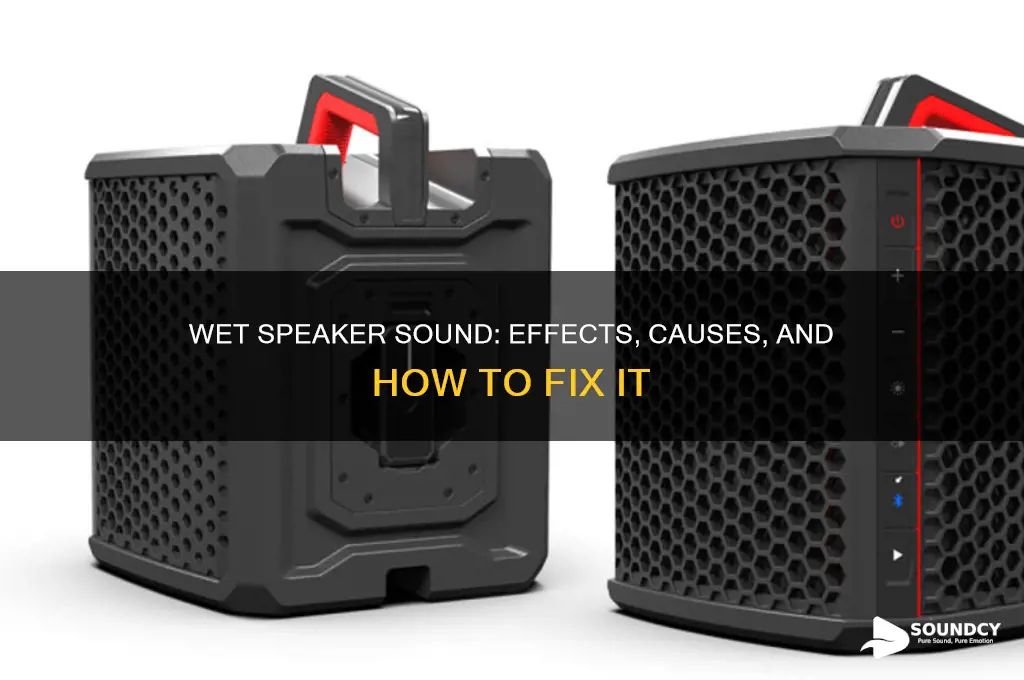 Wet Speaker Sound: Effects, Causes, And How To Fix It | SoundCy