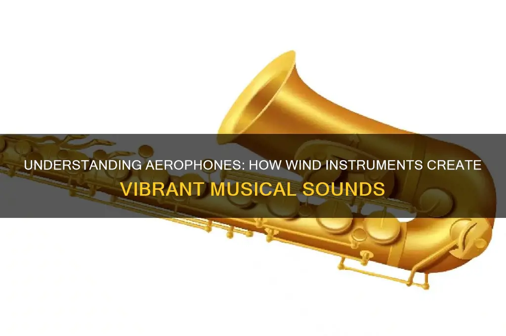 Understanding Aerophones: How Wind Instruments Create Vibrant Musical ...