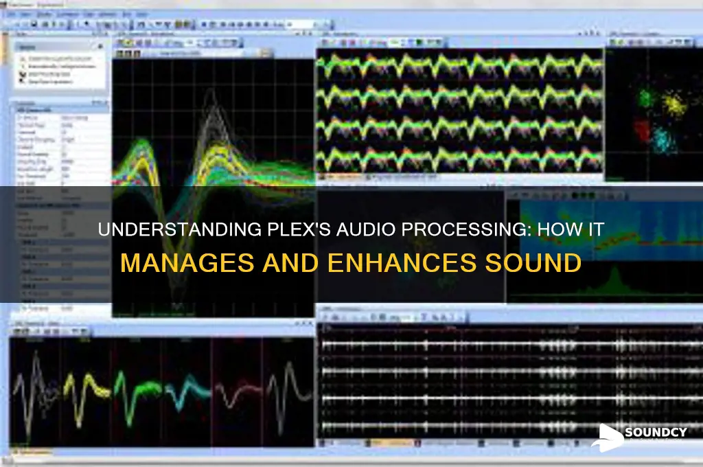 Understanding Plex's Audio Processing: How It Manages And Enhances ...