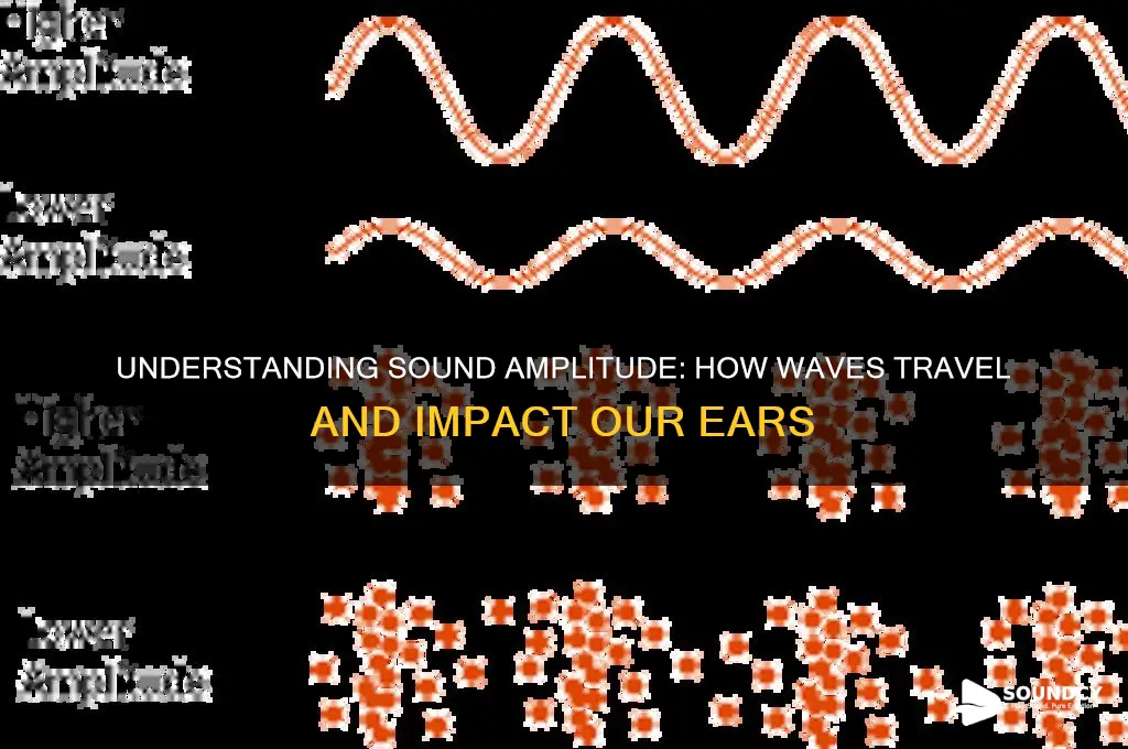Understanding Sound Amplitude: How Waves Travel And Impact Our Ears ...