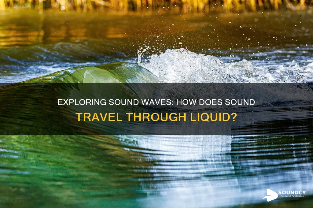 Exploring Sound Waves: How Does Sound Travel Through Liquid? | SoundCy