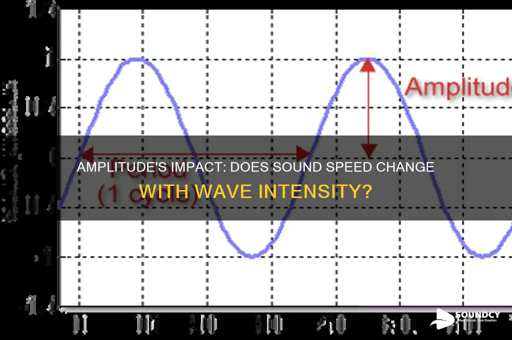 Amplitude's Impact: Does Sound Speed Change With Wave Intensity? | SoundCy