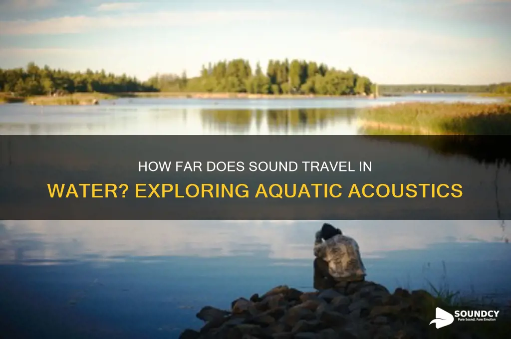 How Far Does Sound Travel In Water? Exploring Aquatic Acoustics | SoundCy