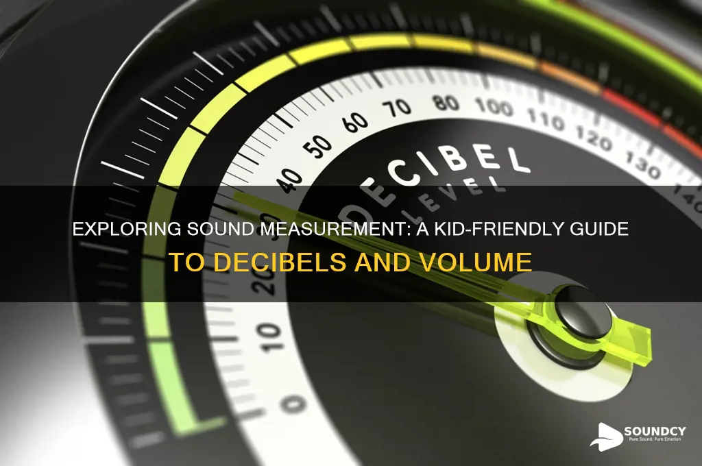Exploring Sound Measurement: A Kid-Friendly Guide To Decibels And ...