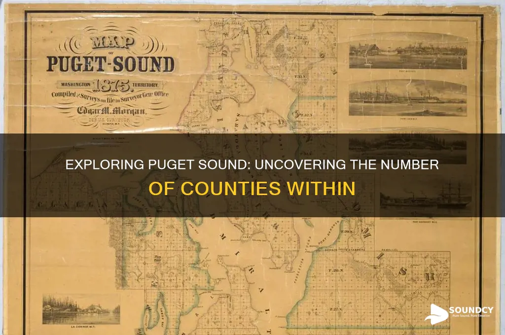 Exploring Puget Sound: Uncovering The Number Of Counties Within | SoundCy