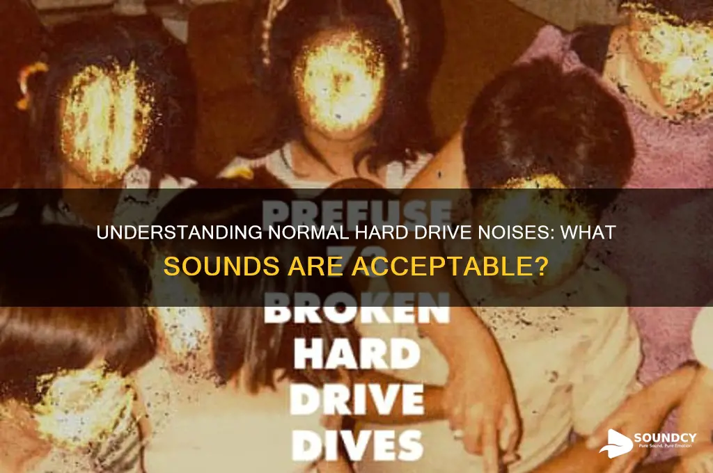 Understanding Normal Hard Drive Noises: What Sounds Are Acceptable ...