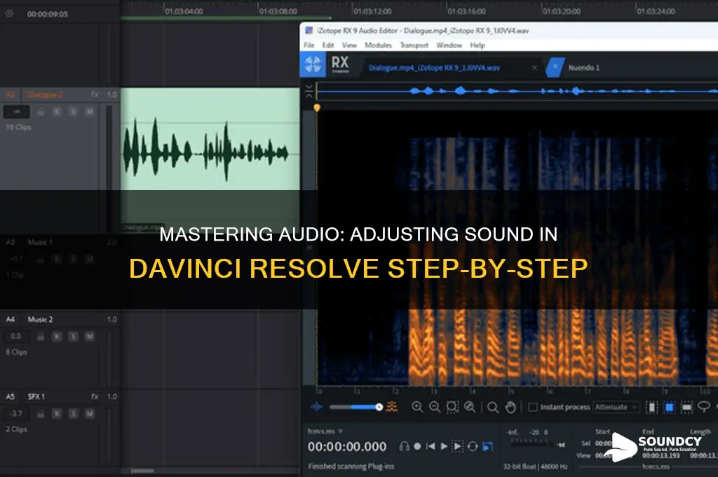 Mastering Audio: Adjusting Sound In Davinci Resolve Step-By-Step | SoundCy