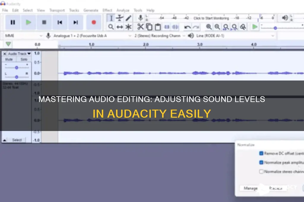 Mastering Audio Editing: Adjusting Sound Levels In Audacity Easily ...