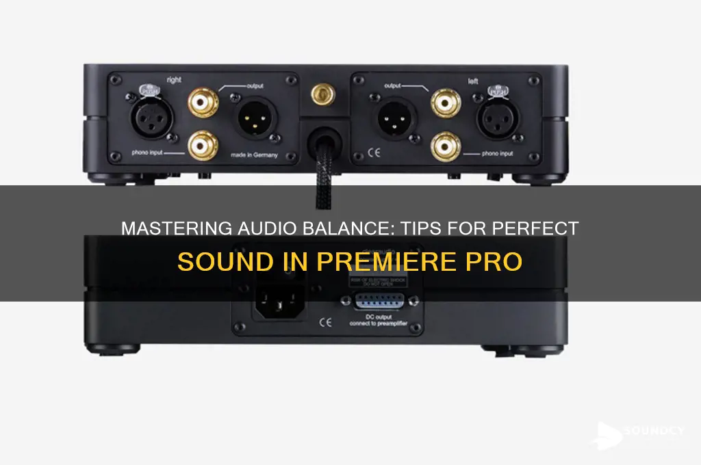 Mastering Audio Balance: Tips For Perfect Sound In Premiere Pro | SoundCy