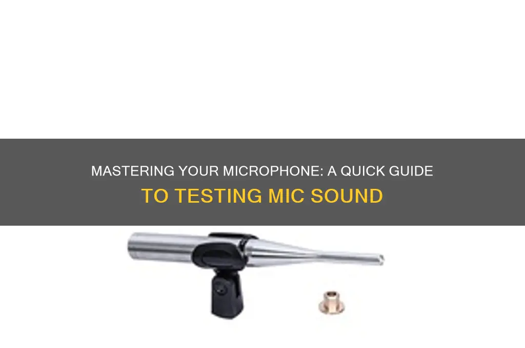 Mastering Your Microphone: A Quick Guide To Testing Mic Sound | SoundCy