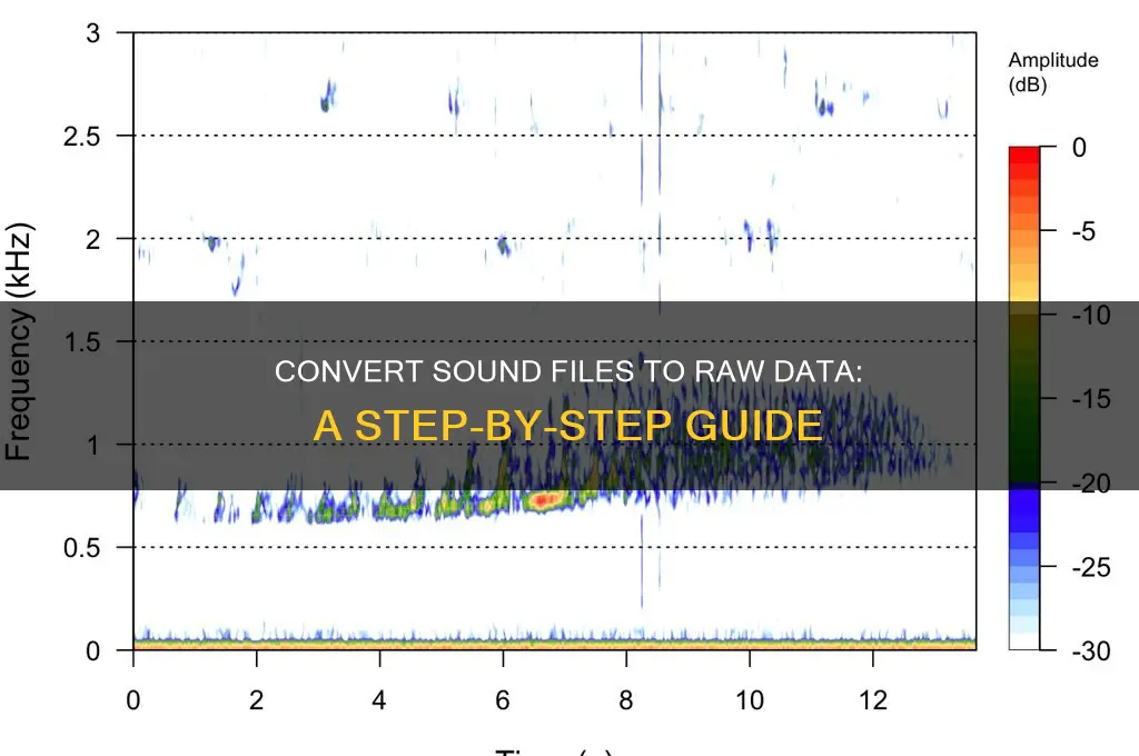 Convert Sound Files To Raw Data: A Step-By-Step Guide | SoundCy