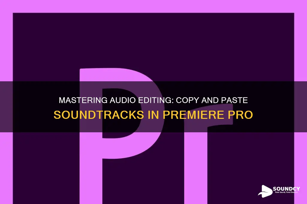 Mastering Audio Editing: Copy And Paste Soundtracks In Premiere Pro ...