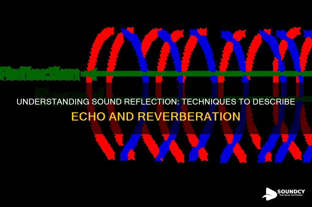 Understanding Sound Reflection: Techniques To Describe Echo And ...