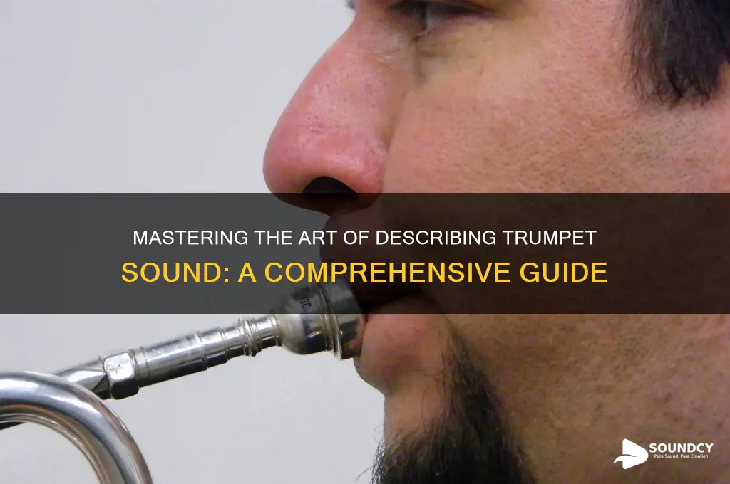 Mastering The Art Of Describing Trumpet Sound: A Comprehensive Guide ...