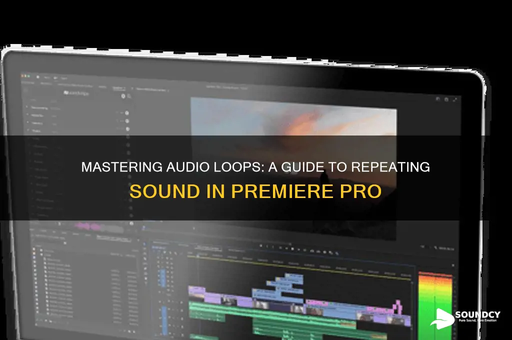 Mastering Audio Loops: A Guide To Repeating Sound In Premiere Pro | SoundCy