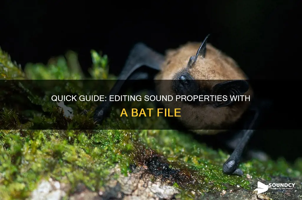 Quick Guide: Editing Sound Properties With A Bat File | SoundCy