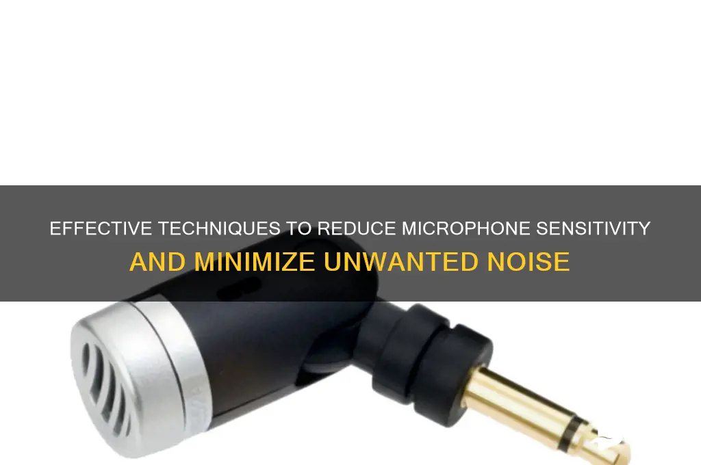 Effective Techniques To Reduce Microphone Sensitivity And Minimize ...