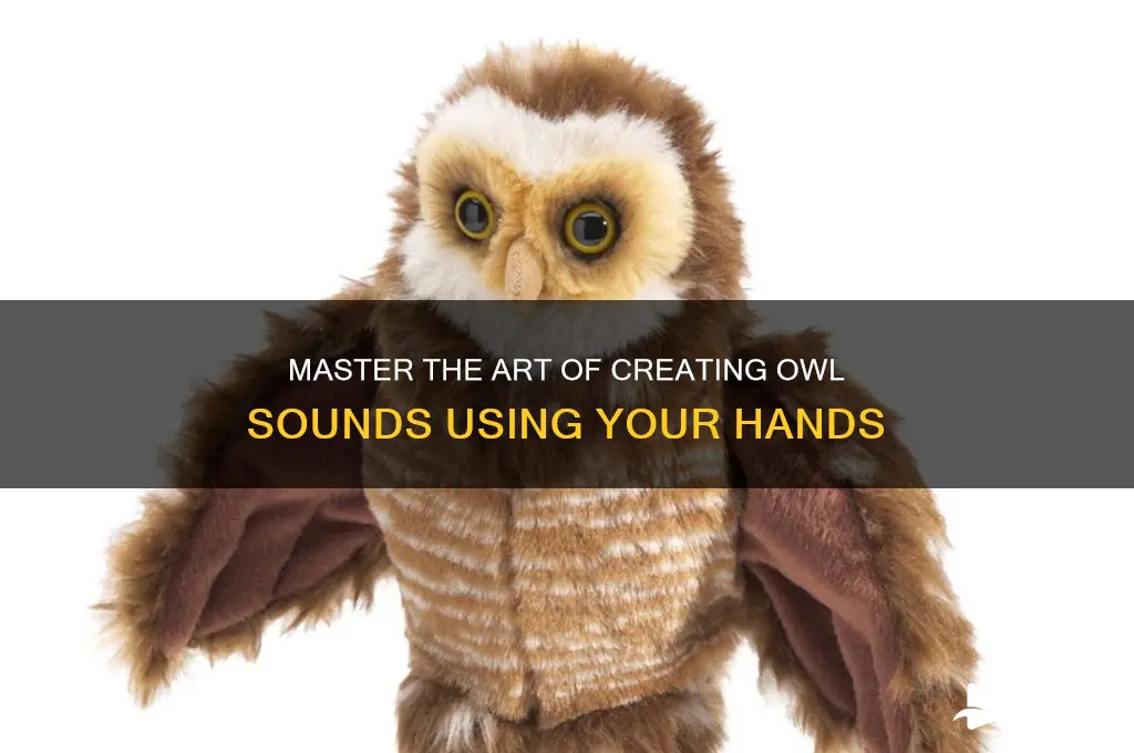 Master The Art Of Creating Owl Sounds Using Your Hands | SoundCy