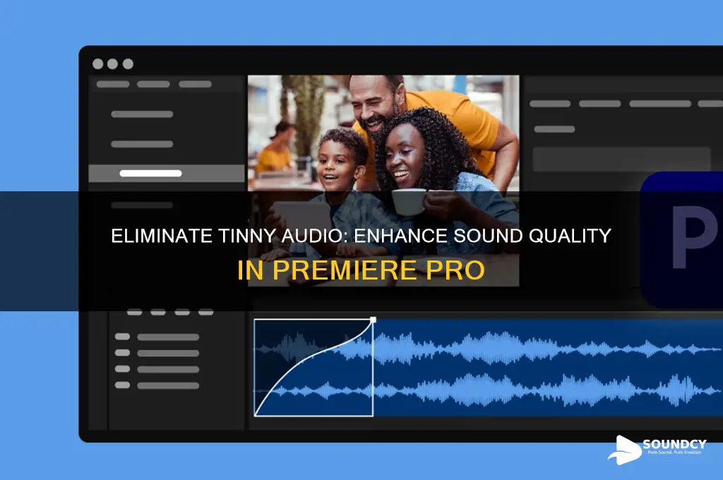 Eliminate Tinny Audio: Enhance Sound Quality In Premiere Pro | SoundCy