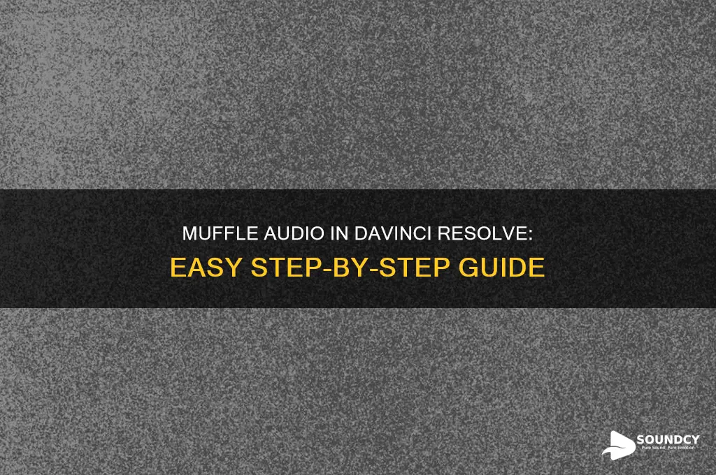 Muffle Audio In Davinci Resolve: Easy Step-By-Step Guide | SoundCy