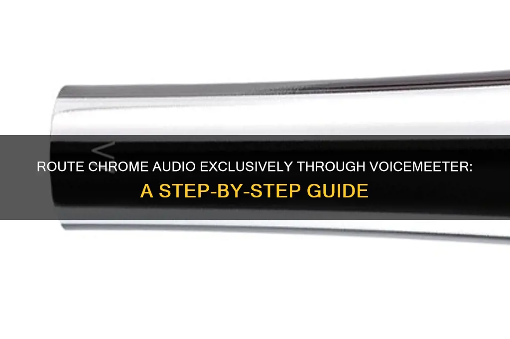 Route Chrome Audio Exclusively Through Voicemeeter: A Step-By-Step ...