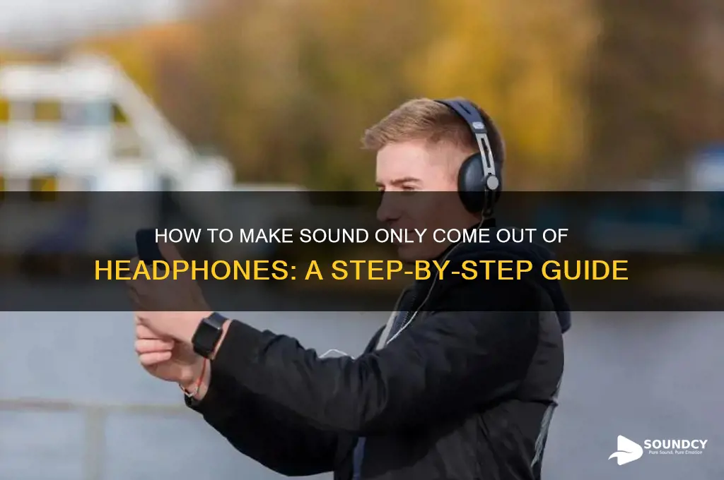 How To Make Sound Only Come Out Of Headphones: A Step-By-Step Guide ...
