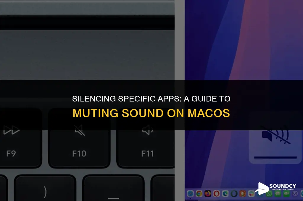 Silencing Specific Apps: A Guide To Muting Sound On Macos | SoundCy