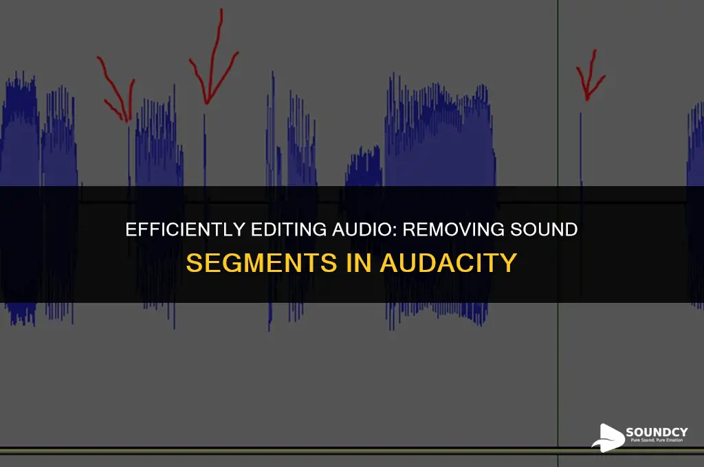 Efficiently Editing Audio: Removing Sound Segments In Audacity | SoundCy