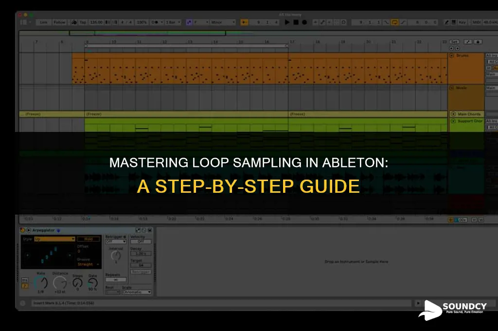 Mastering Loop Sampling In Ableton: A Step-By-Step Guide | SoundCy