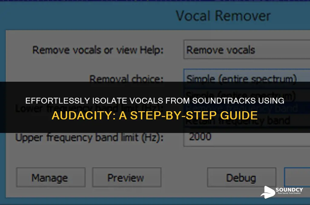 Effortlessly Isolate Vocals From Soundtracks Using Audacity: A Step-By ...